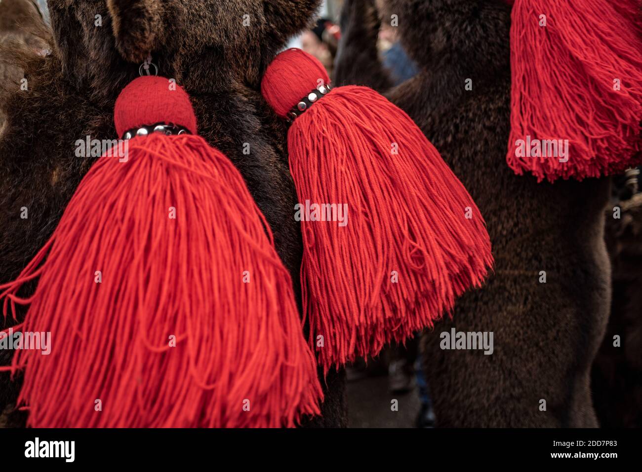 New Year Bear Dancing Festival, Comanesti, Moldova, Romania Stock Photo ...
