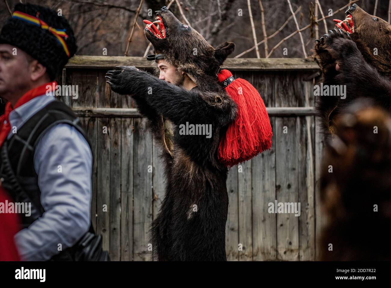 New Year Bear Dancing Festival, Comanesti, Moldova, Romania Stock Photo ...