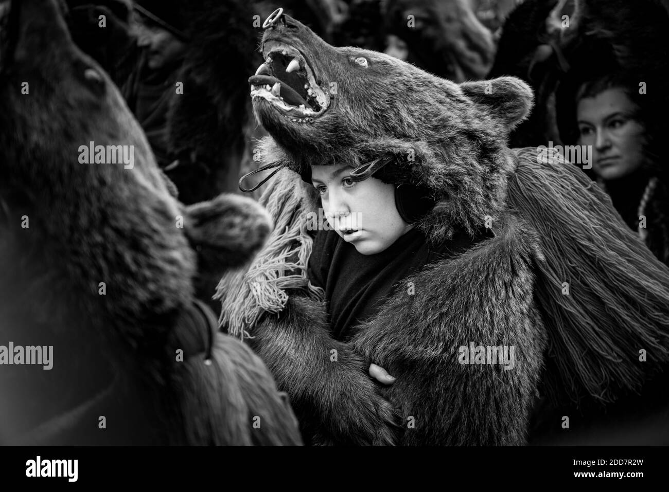 The dancing bear Black and White Stock Photos & Images - Alamy