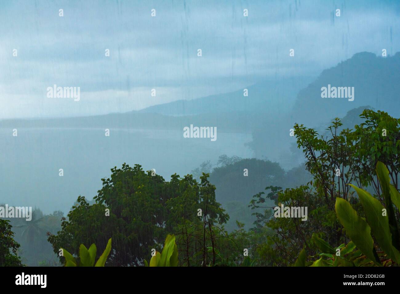 Torrential rain storm in the rainforest at Uvita, Puntarenas Province ...