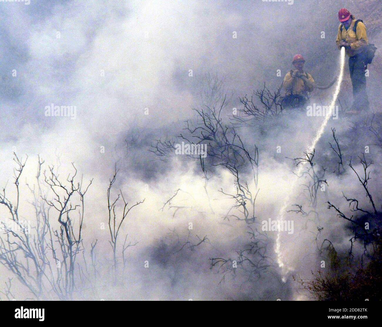 NO FILM, NO VIDEO, NO TV, NO DOCUMENTARY - The US. Forest Service ...