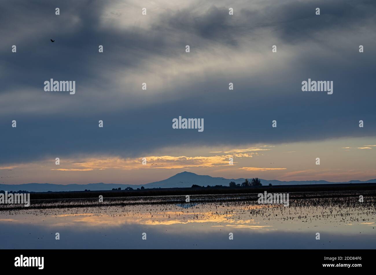 Mount Diablo View from Staten Island Preserve, California Stock Photo ...