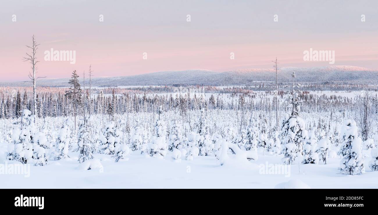 Frozen snow covered lake in the winter landscape in Lapland at sunset ...