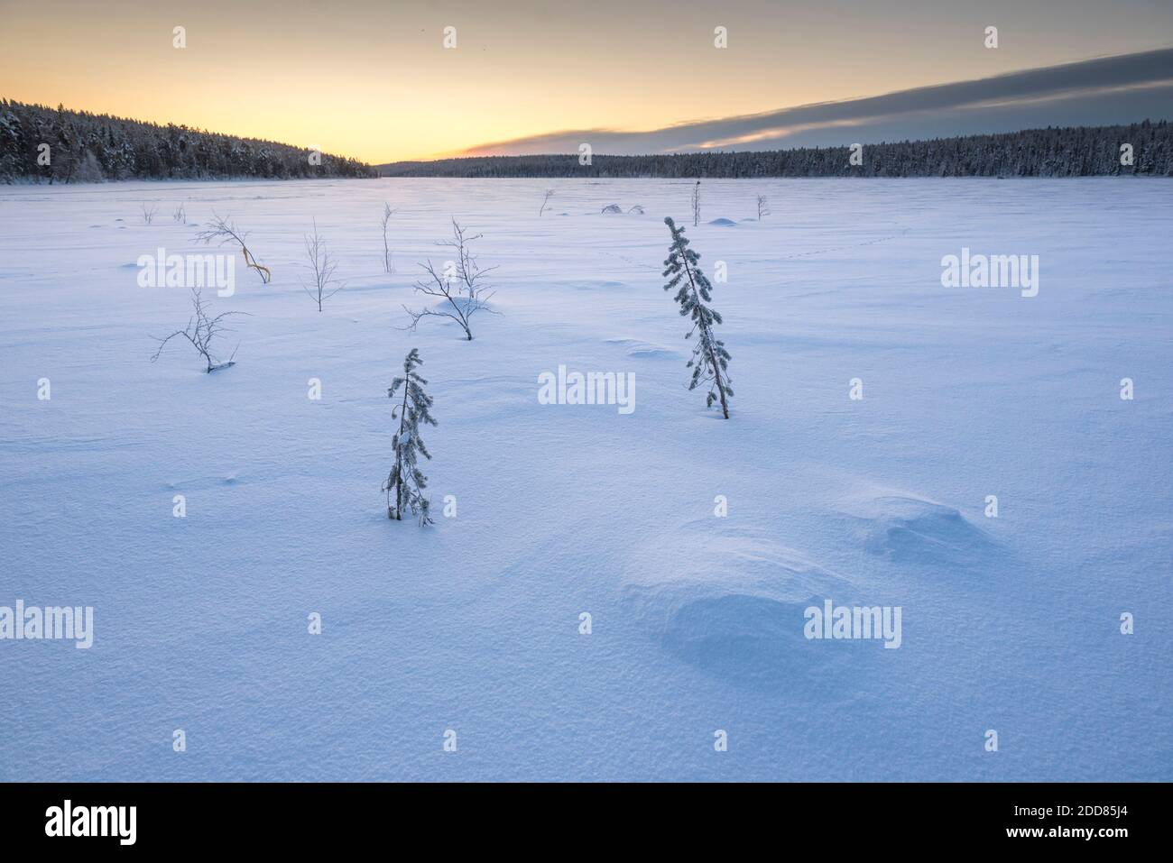 Cold snow covered icy winter landscape at sunset inside the Arctic ...