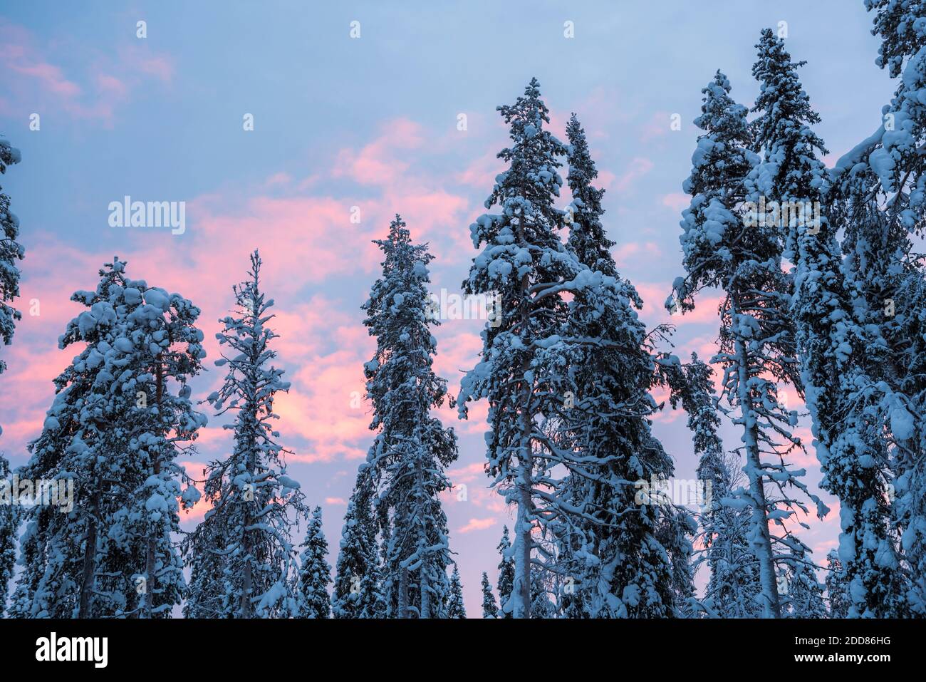 Cold snow covered icy winter landscape at sunset inside the Arctic ...
