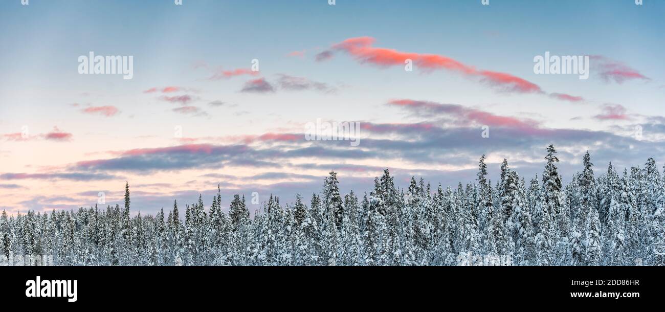 Cold snow covered icy winter landscape at sunset inside the Arctic ...