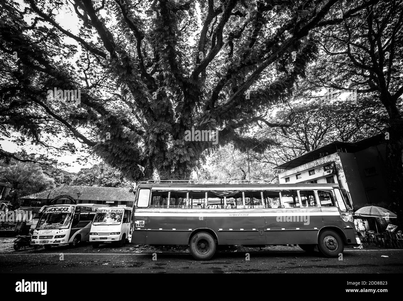 Local bus, Fort Kochi (Cochin), Kerala, India Stock Photo - Alamy