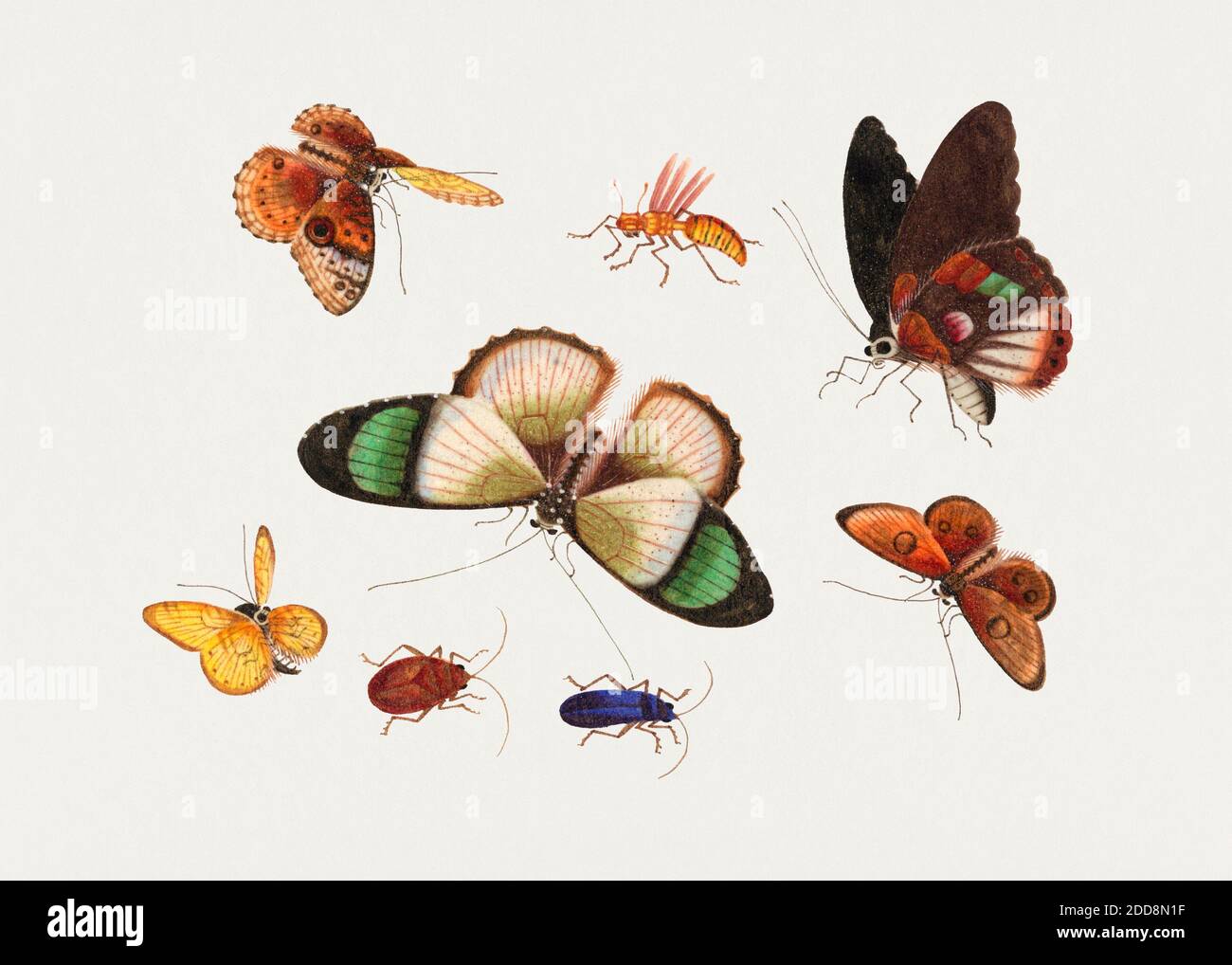 Insect Clipart High Resolution Stock Photography and Images - Alamy