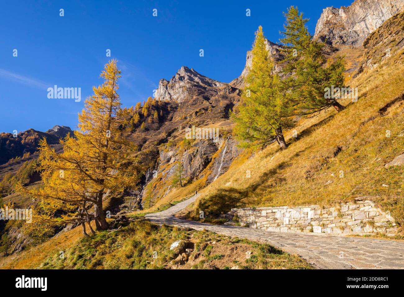Autumnal view of the foliage and colours of Alpe Veglia. Val Cairasca ...