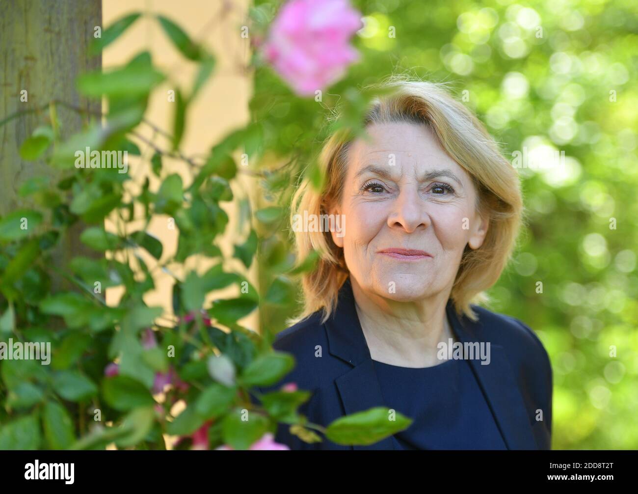 Chairman of the Public Establishment of the Palace, Museum and National ...