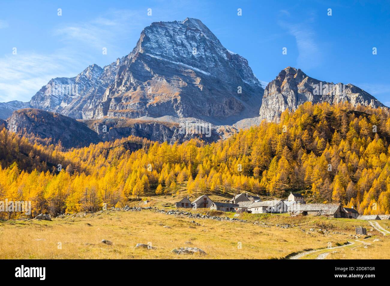 Neve e parco hi-res stock photography and images - Alamy
