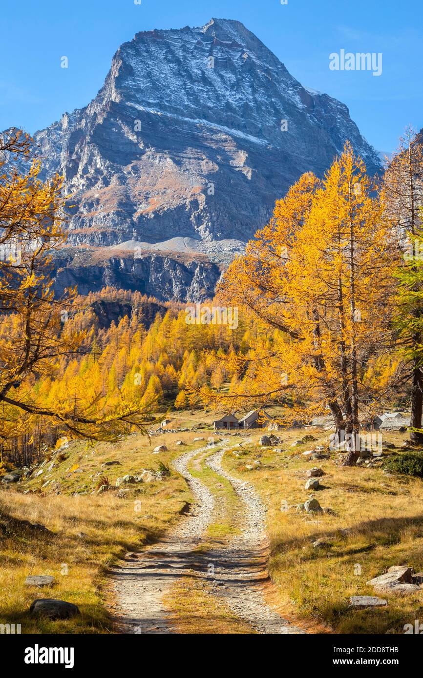 Autumn view of the road to Cianciavero and Monte Leone. Alpe Veglia ...