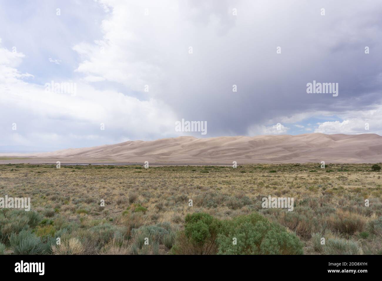 First dune hi-res stock photography and images - Alamy
