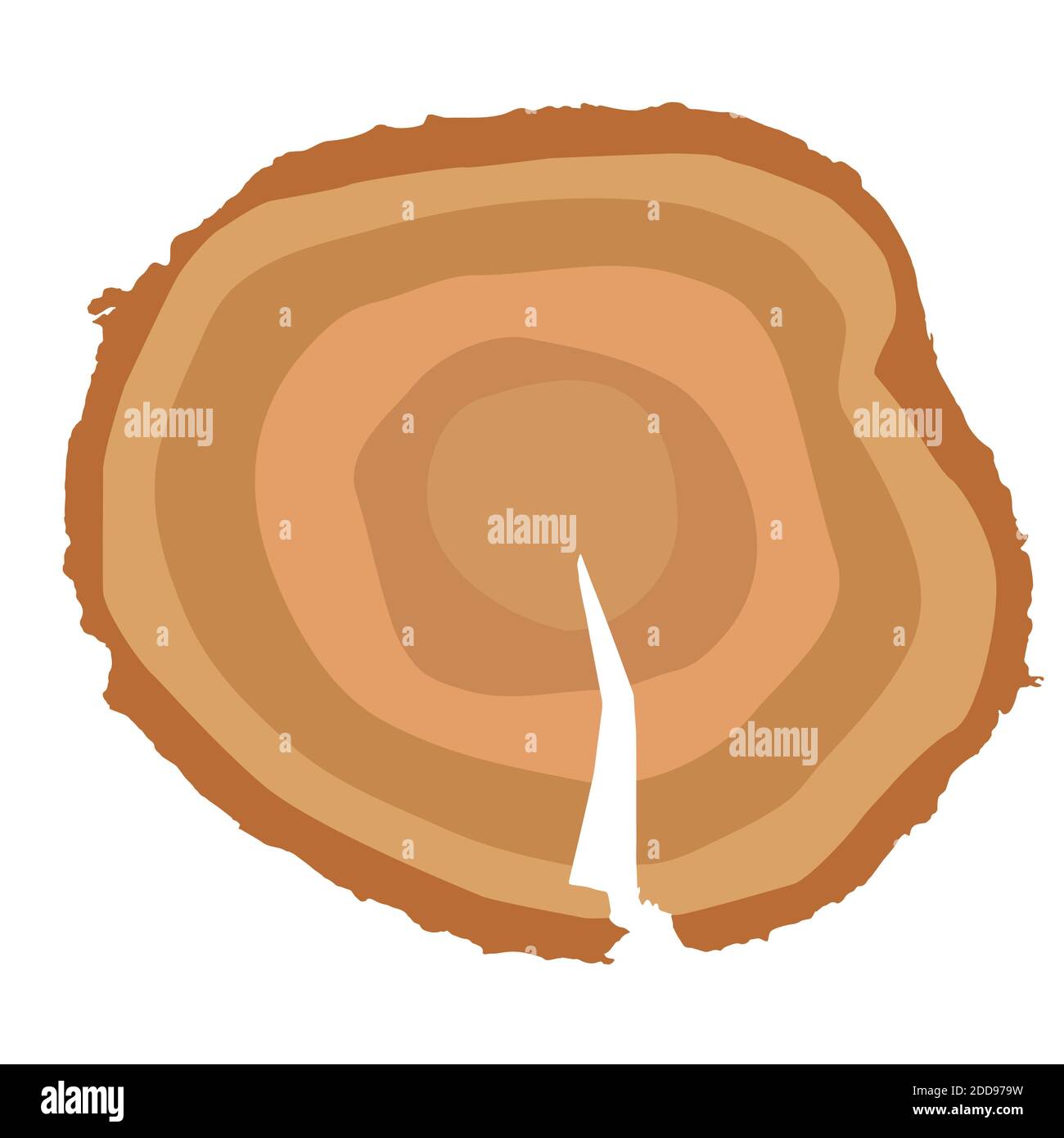 Stump. Muzzle. You can Determine the Age of the Tree. Illustration ...