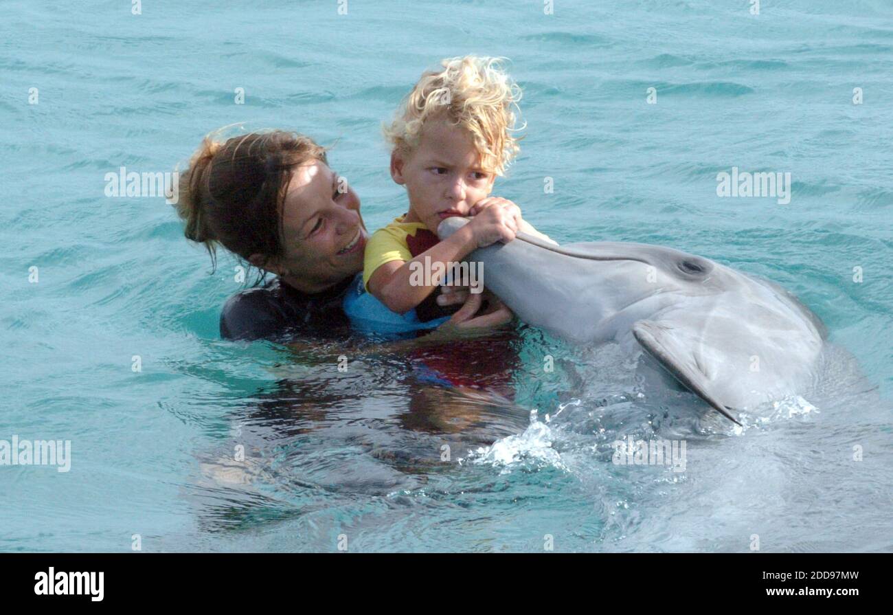 Peter dolphin hi-res stock photography and images - Alamy