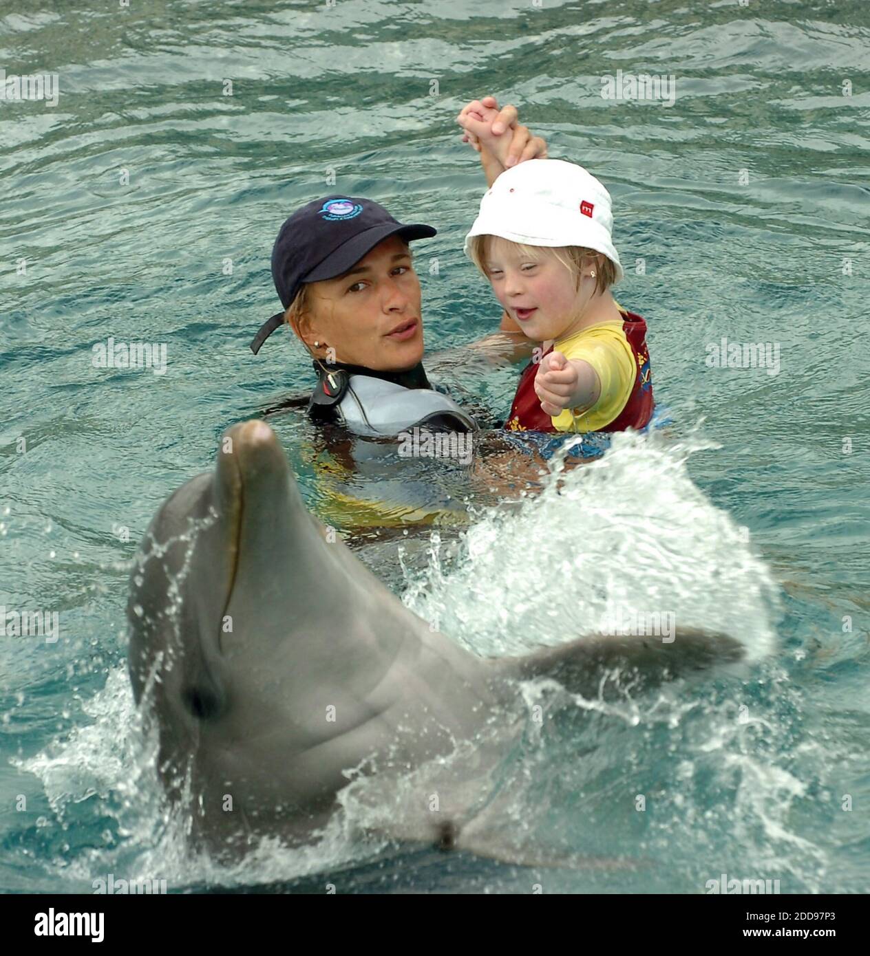 Peter dolphin hi-res stock photography and images - Alamy