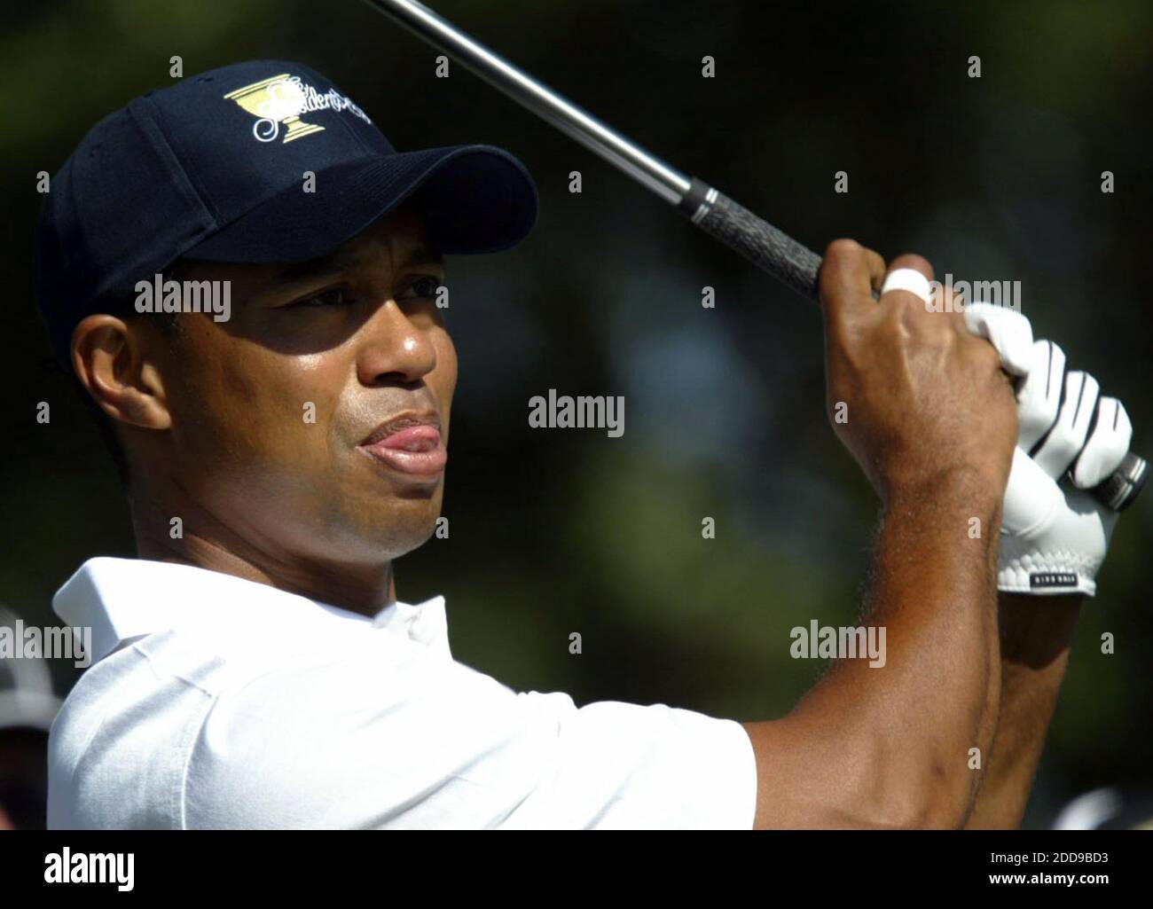 Harding park golf hi-res stock photography and images - Alamy
