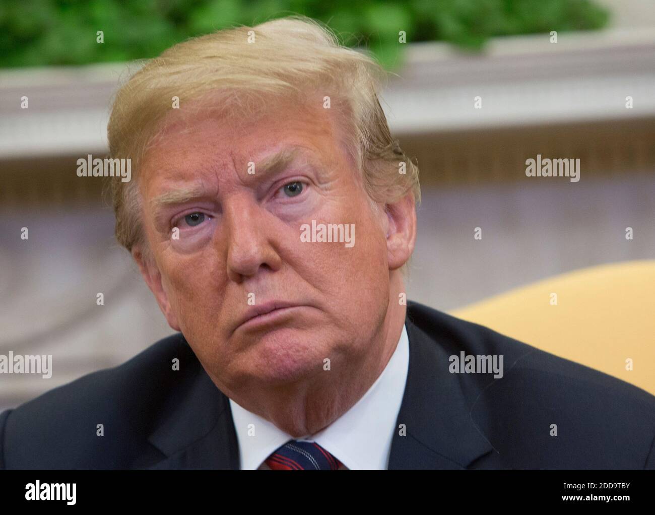 Sasha Castle's Instagram, Twitter & Facebook on IDCrawl