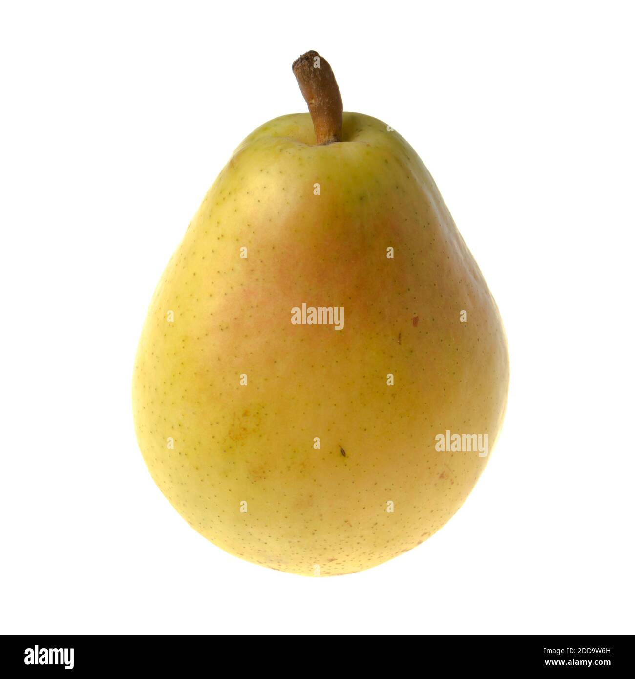 Ripe fruit pear fruit isolated on white background Stock Photo - Alamy