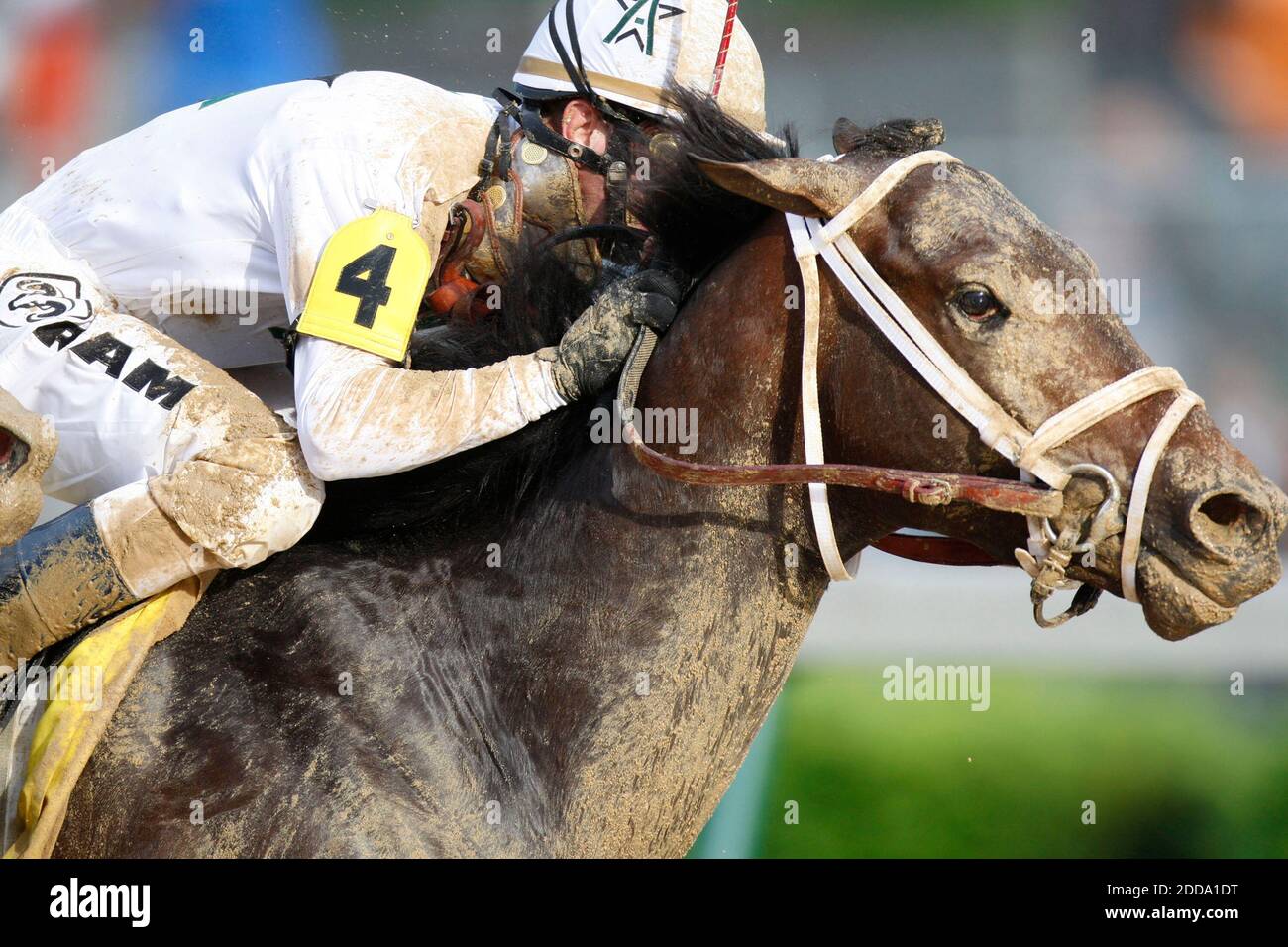 Super saver kentucky derby 2010 hi-res stock photography and images - Alamy