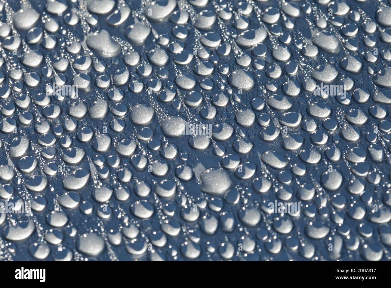 Shiny Water Droplets Stock Photo - Alamy