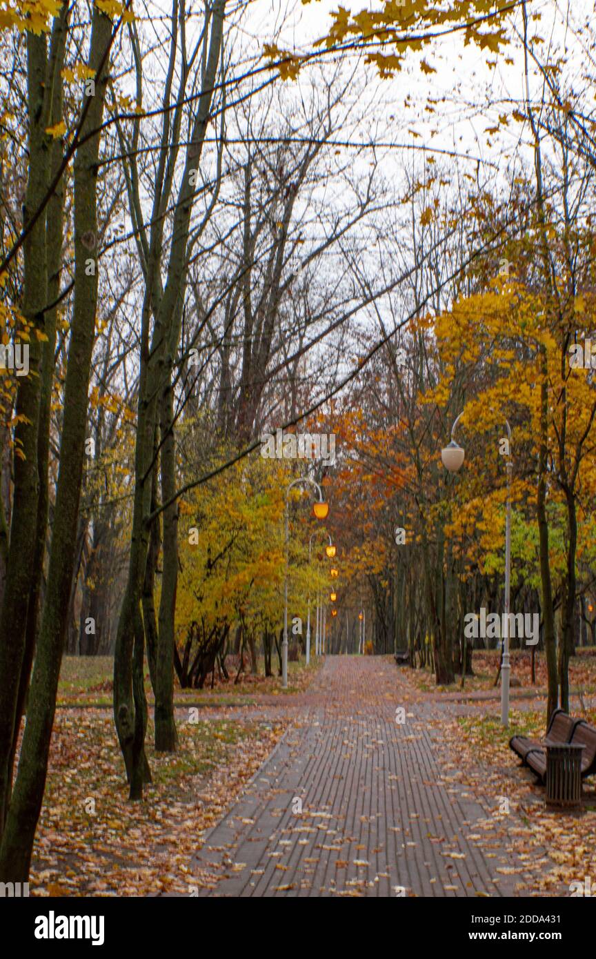 Autumn in the Park. Path in the autumn Park Stock Photo - Alamy