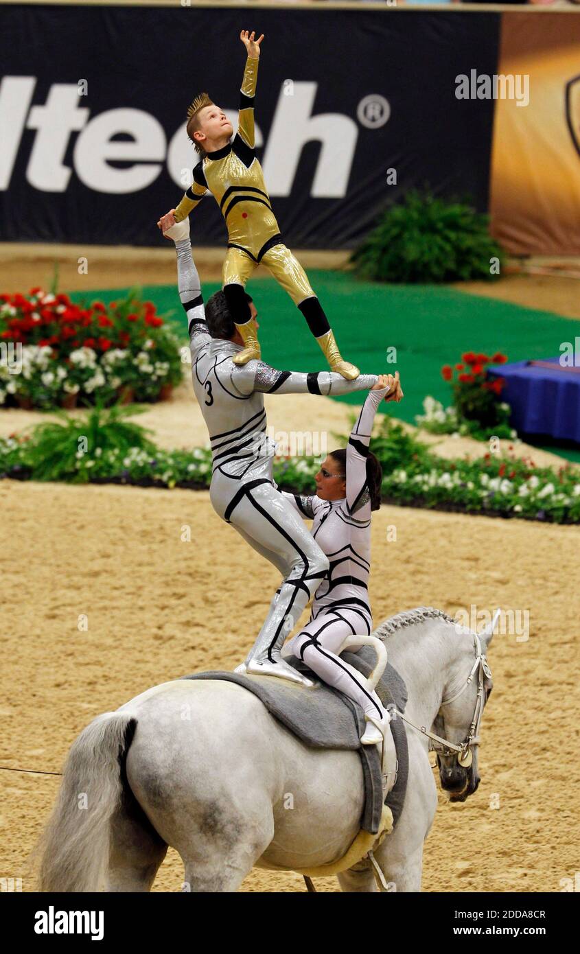 Vaulting equestrian team hi-res stock photography and images - Alamy