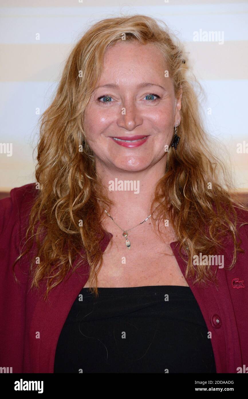 Julie Ferrier at the premiere of YouTube series Les Emmerdeurs and ...