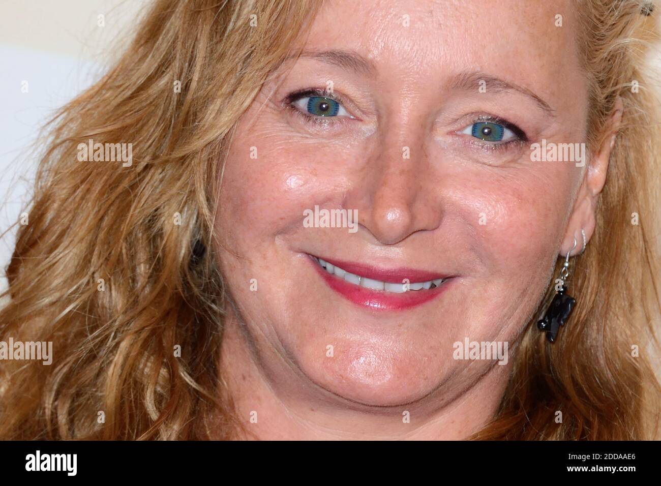 Julie Ferrier at the premiere of YouTube series Les Emmerdeurs and ...