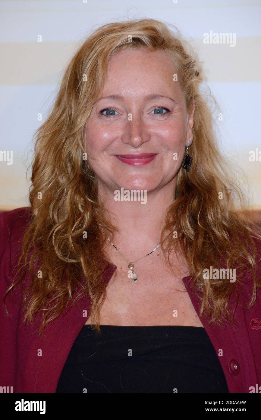 Julie Ferrier at the premiere of YouTube series Les Emmerdeurs and ...