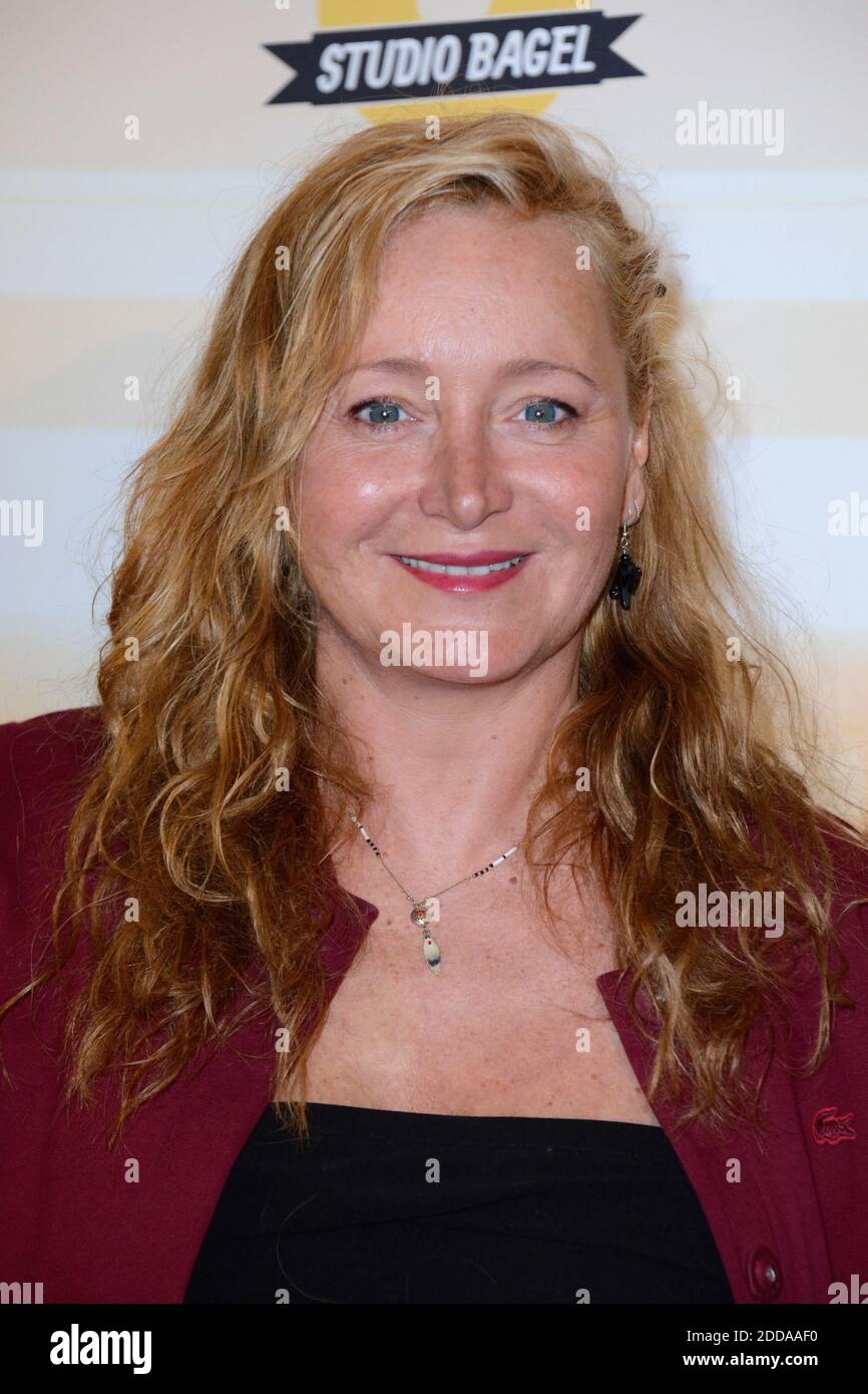Julie Ferrier at the premiere of YouTube series Les Emmerdeurs and ...