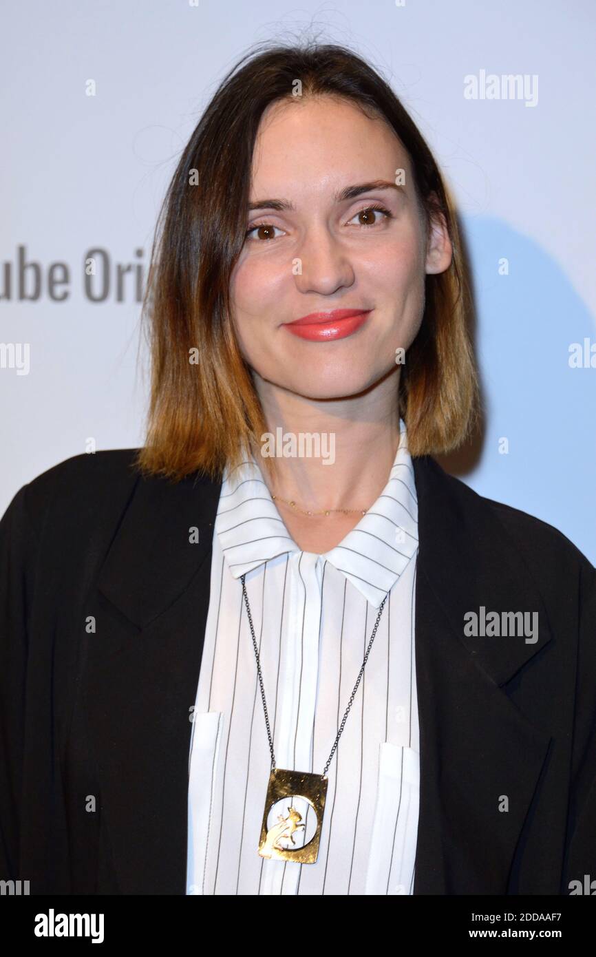 Natoo at the premiere of YouTube series Les Emmerdeurs and Groom held ...
