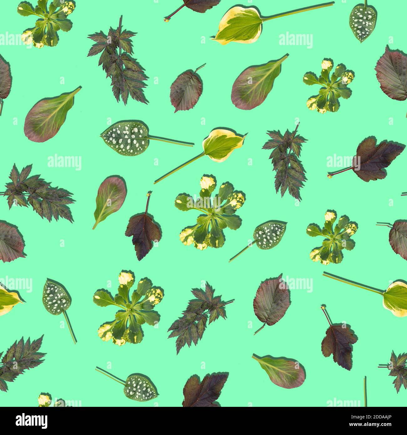 Green leaves natural pattern seamless Stock Photo - Alamy