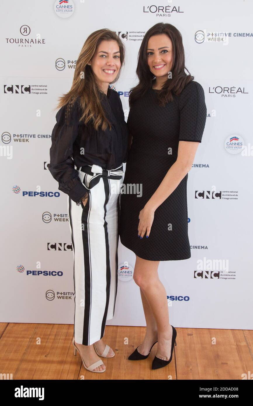 Audrey Tcherkoff, Bushra Rozza at CNC conference for positive cinema ...