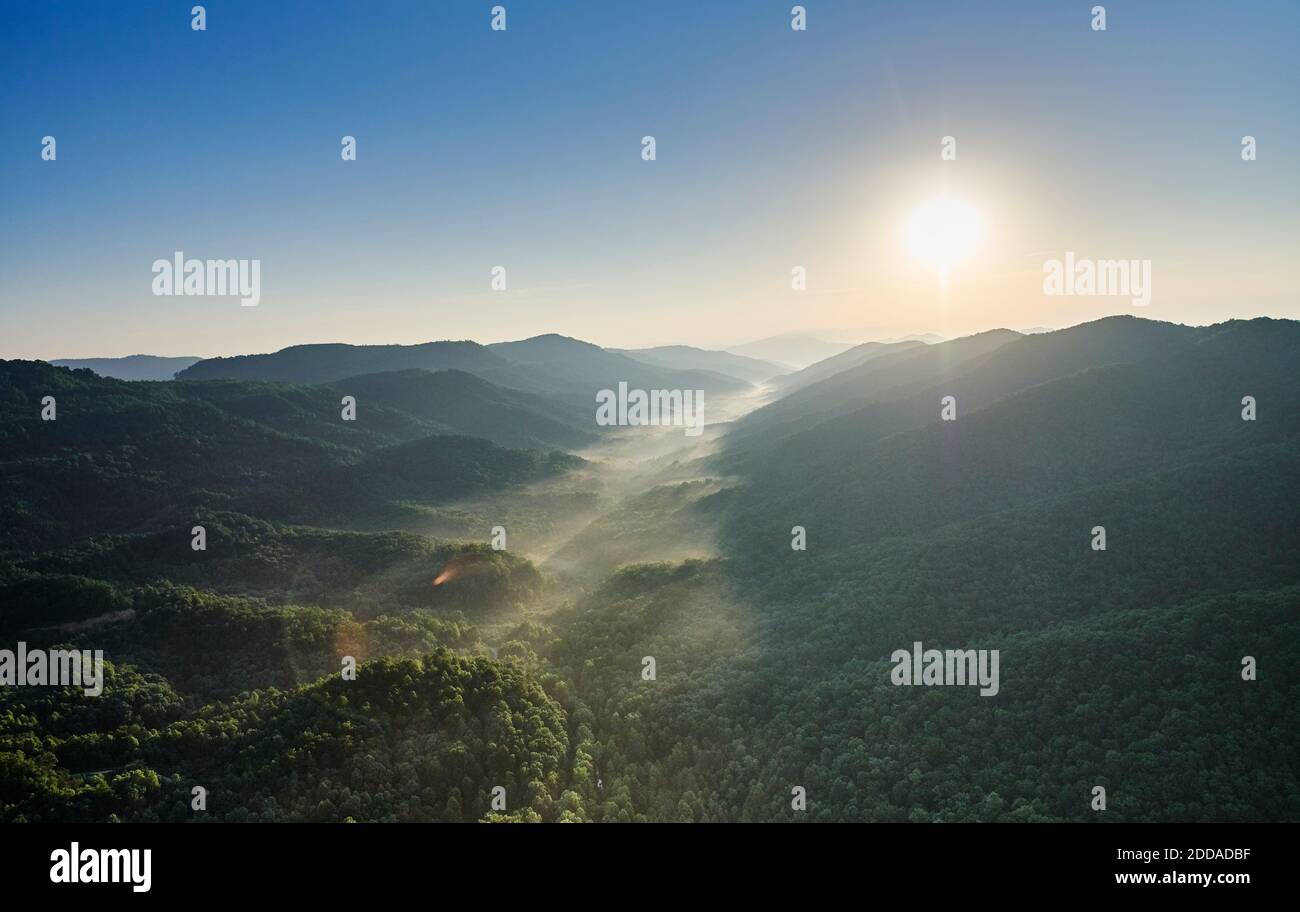 Aerial view of Appalachian forest at foggy sunrise Stock Photo - Alamy