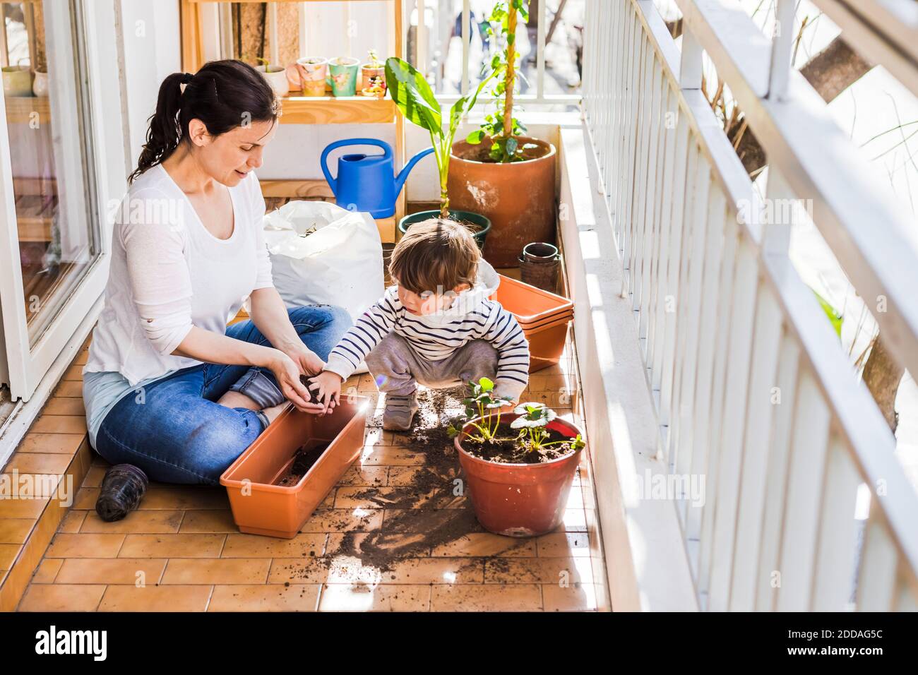 Planting seed hi-res stock photography and images - Alamy