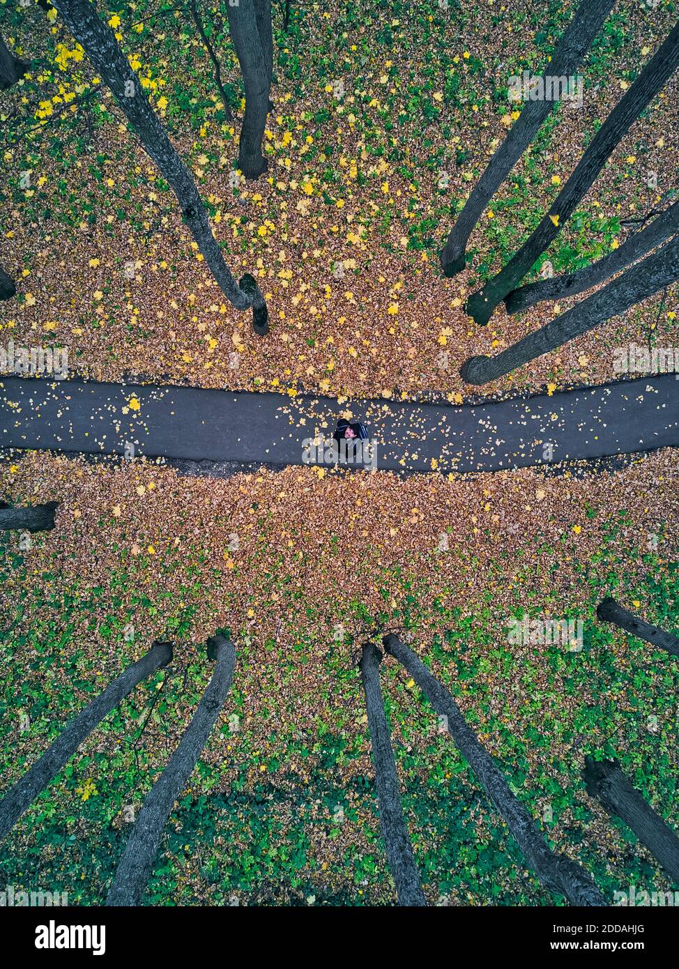 Aerial drone view man standing hi-res stock photography and images - Alamy