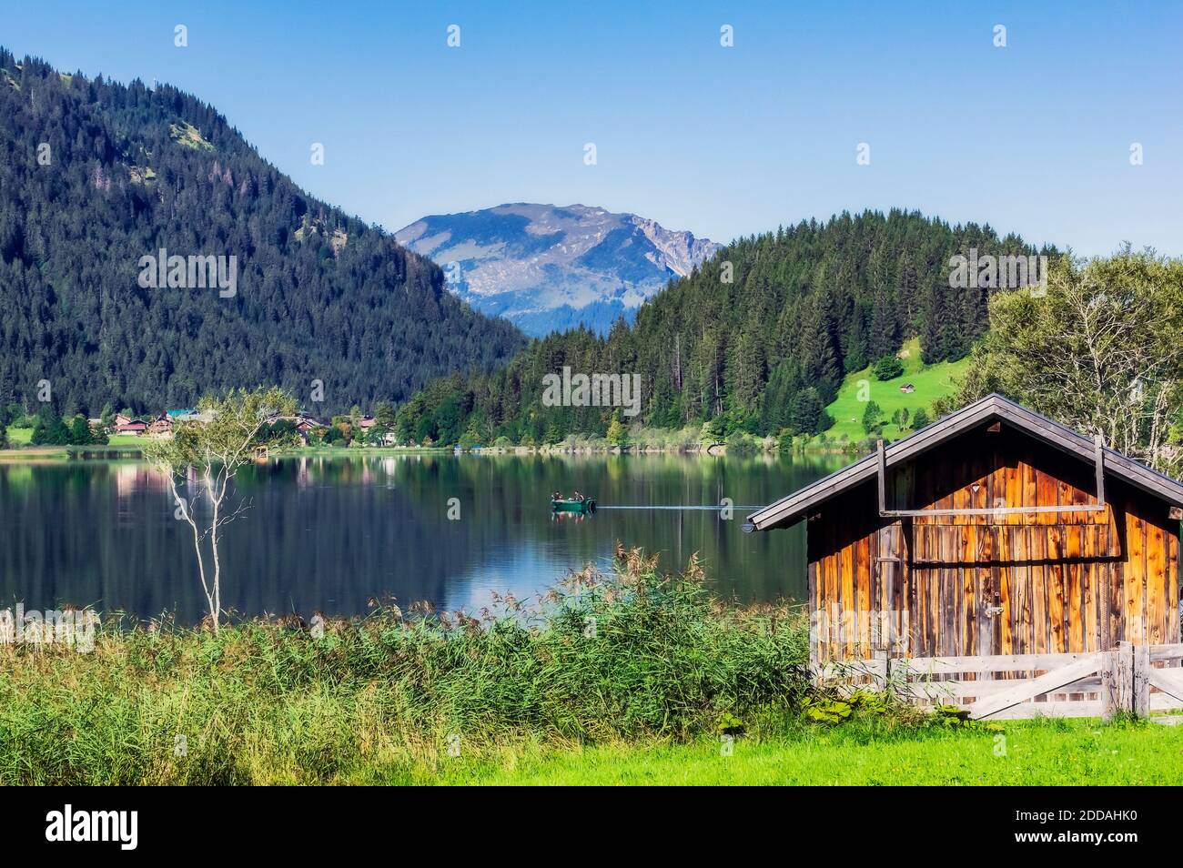Wooden hut on the edge of the forest hi-res stock photography and ...