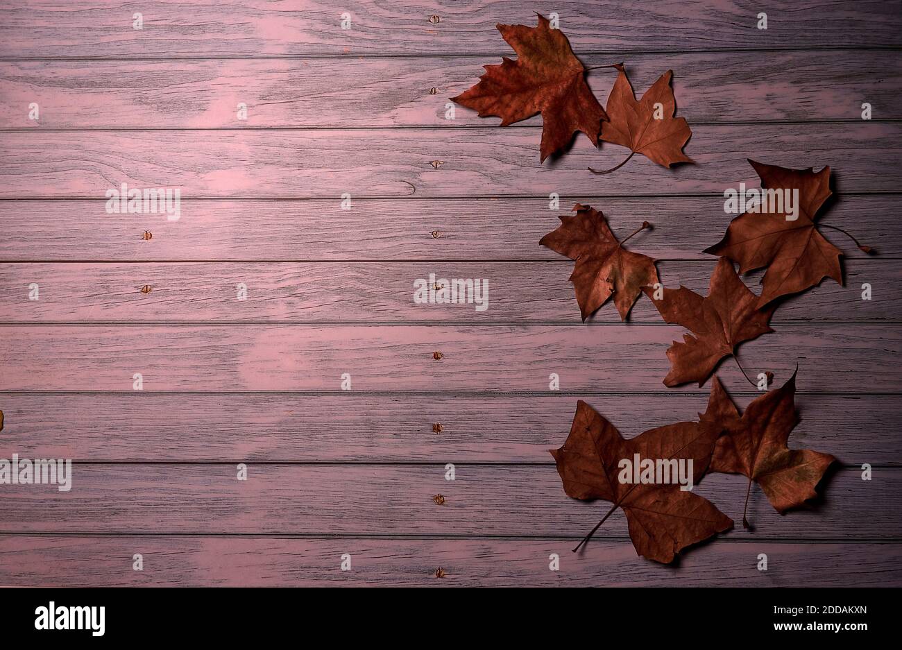 Wooden background with fallen autumn leaves, texture, overhead view ...