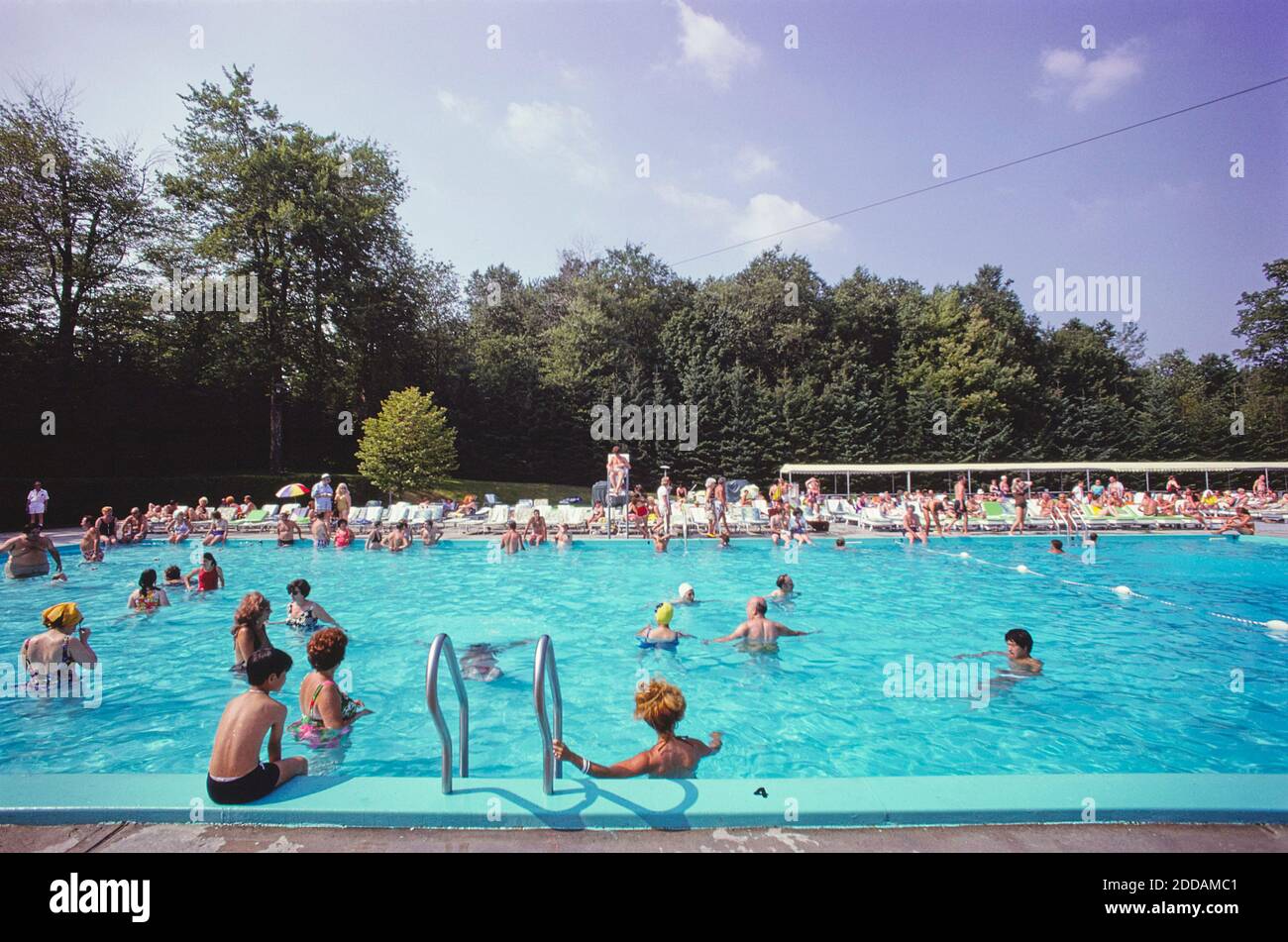 Crowd at the Pool, Raleigh Hotel and Resort, South Fallsburg, New York ...