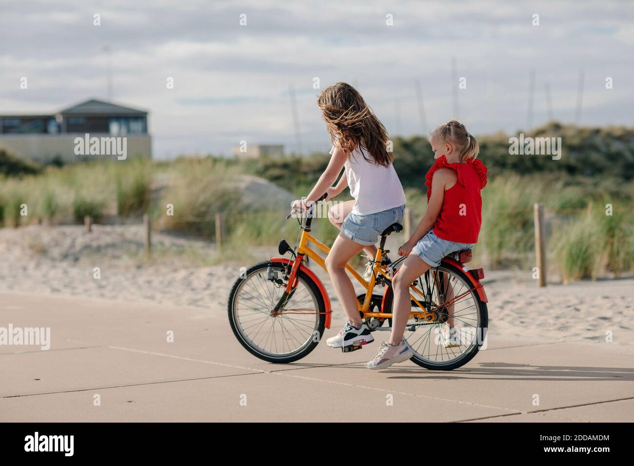Sisters riding on bicycle during sunny day Stock Photo - Alamy Sisters riding on bicycle during sunny day Stock Photo - Alamy