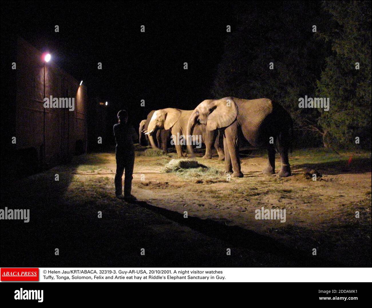 Riddles elephant sanctuary hi-res stock photography and images - Alamy