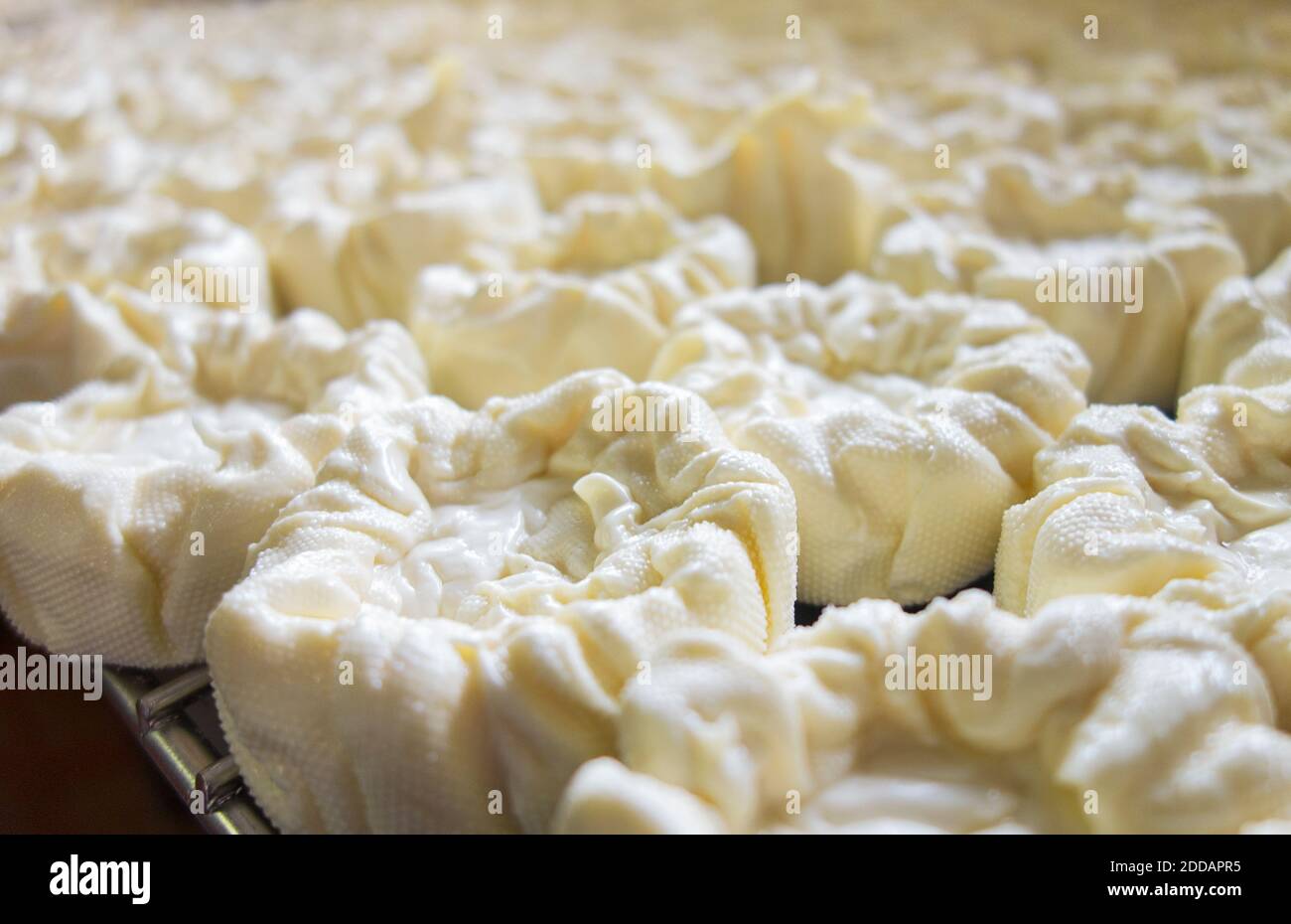Close-up of cheese in dairy Stock Photo - Alamy