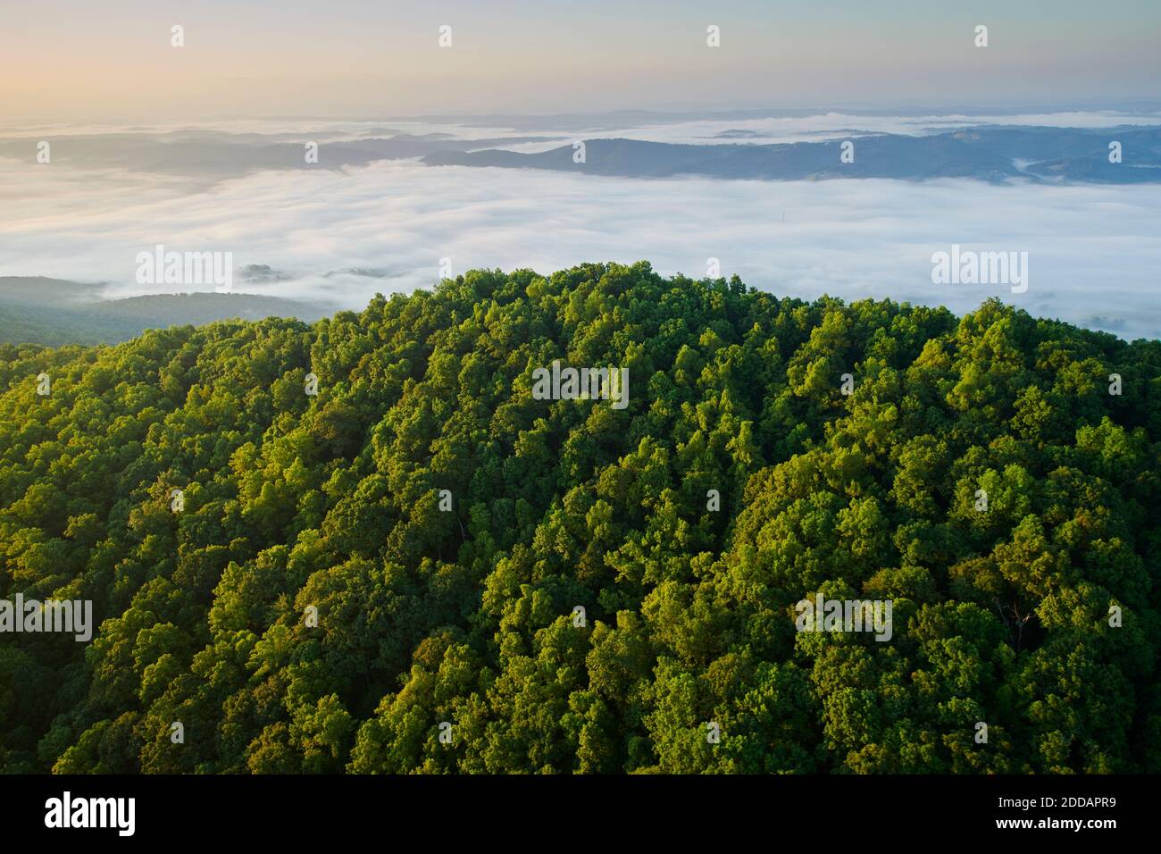Aerial view of Appalachian forest shrouded in morning fog Stock Photo ...