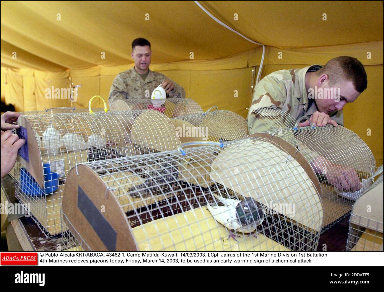 Kuwait armee hi-res stock photography and images - Alamy