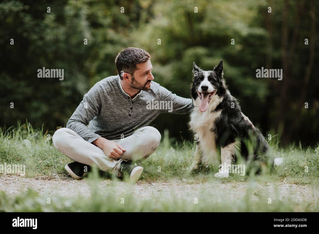 Man looking at dog hi-res stock photography and images - Alamy