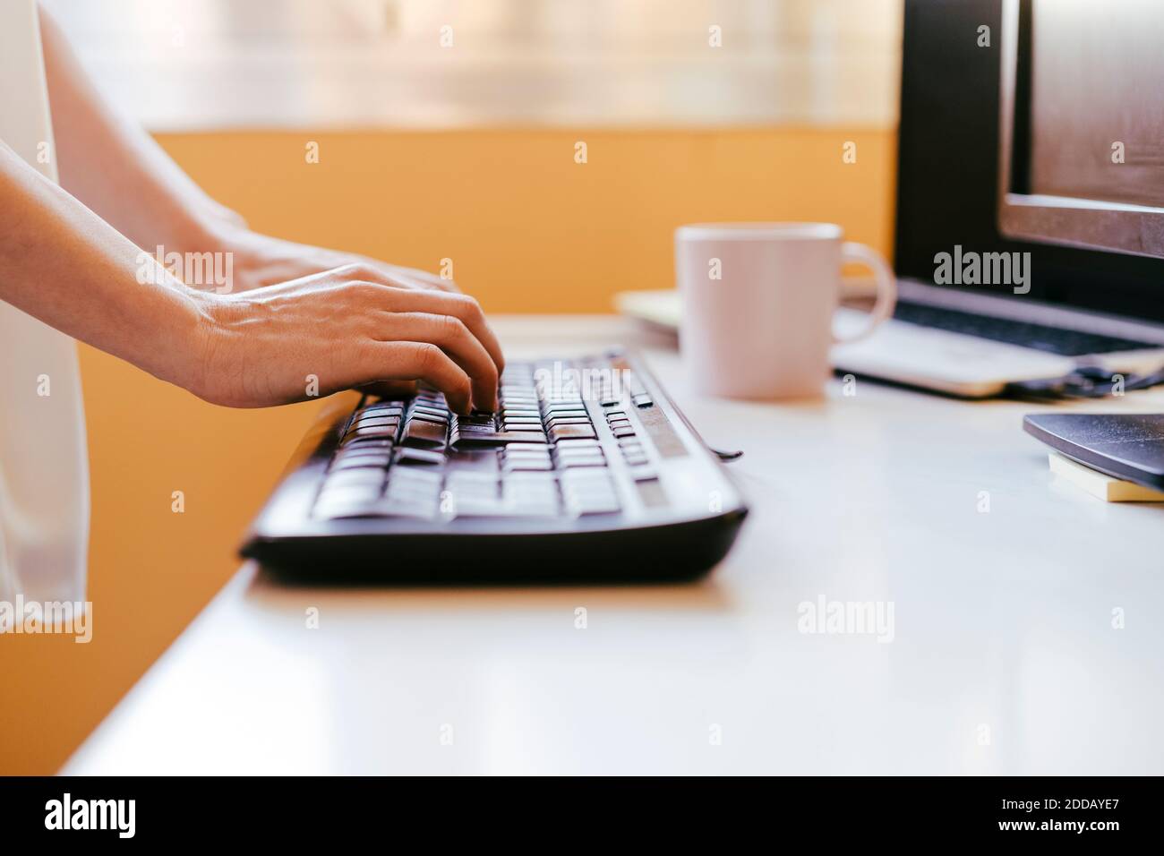 Hands of woman using computer keyboard while standing at home Stock ...