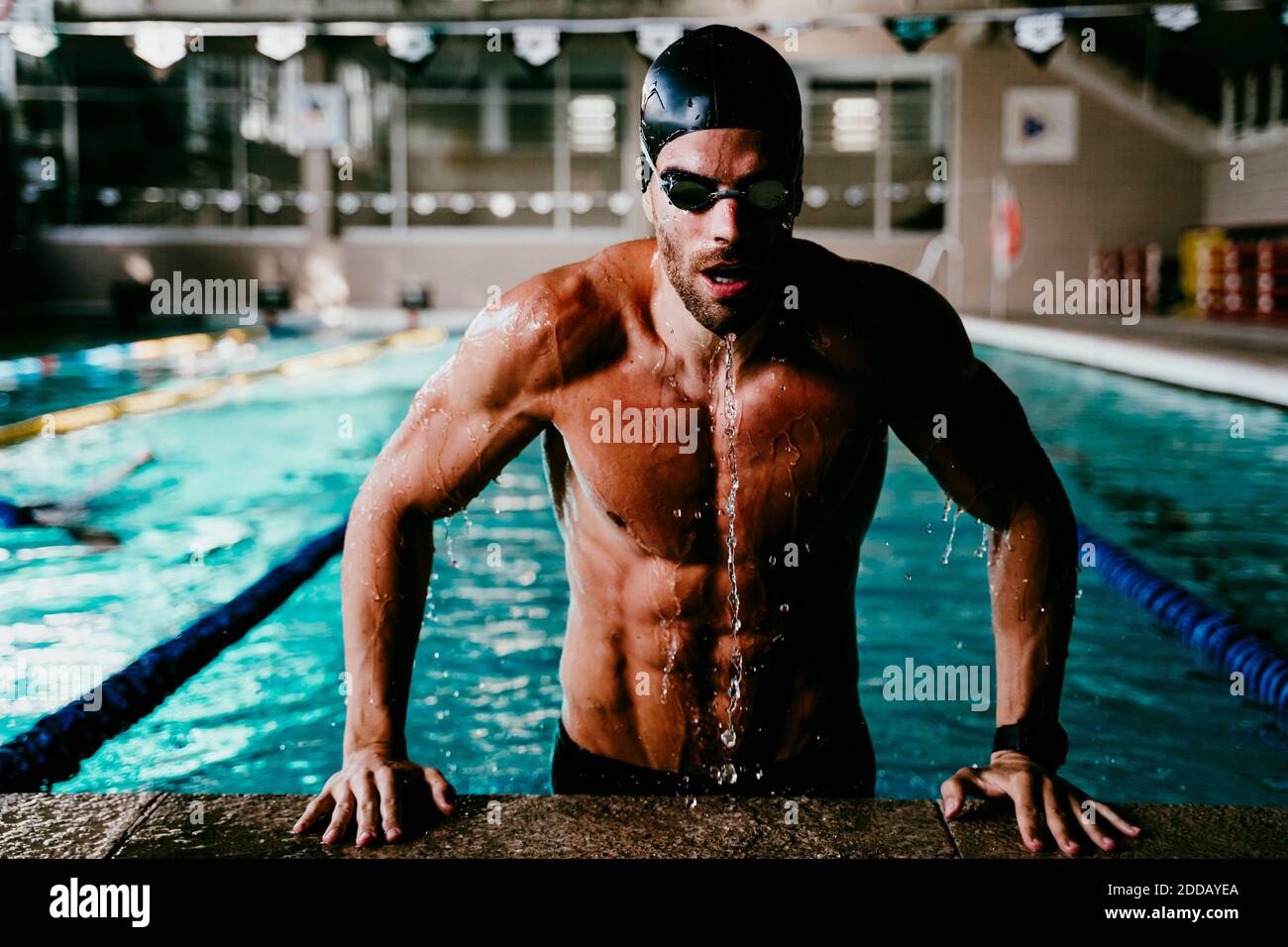 Professional muscular male swimmer getting out of pool Stock Photo - Alamy