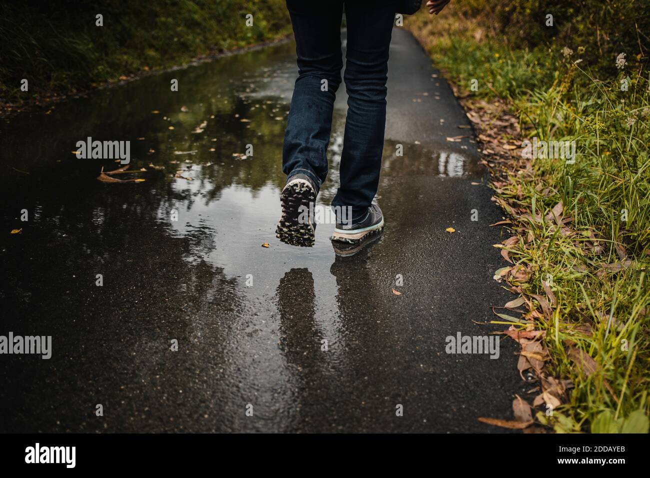 Legs of woman walking on wet footpath during rainy season Stock Photo ...