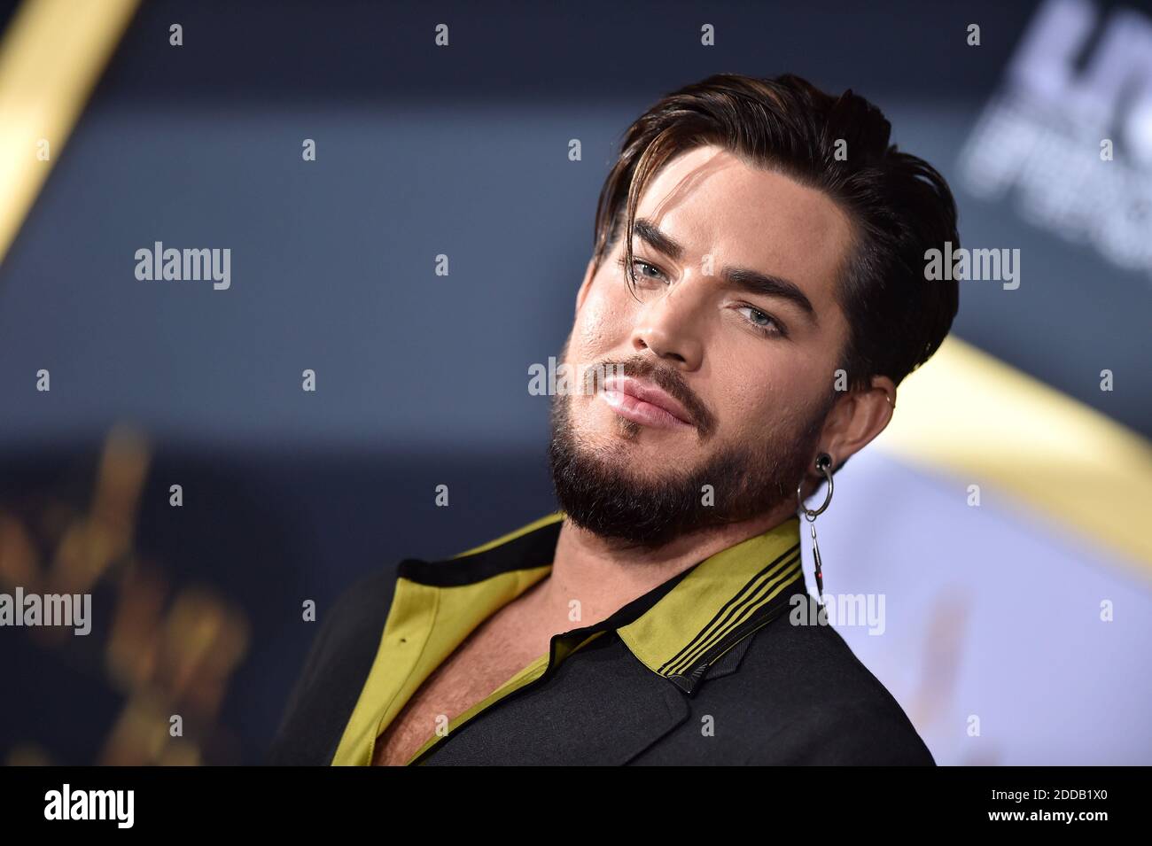 Adam Lambert attends the Premiere of Warner Bros. Pictures' 'A Star Is ...